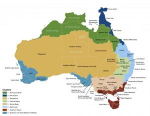 Rangelands Cluster Project - Ninti One